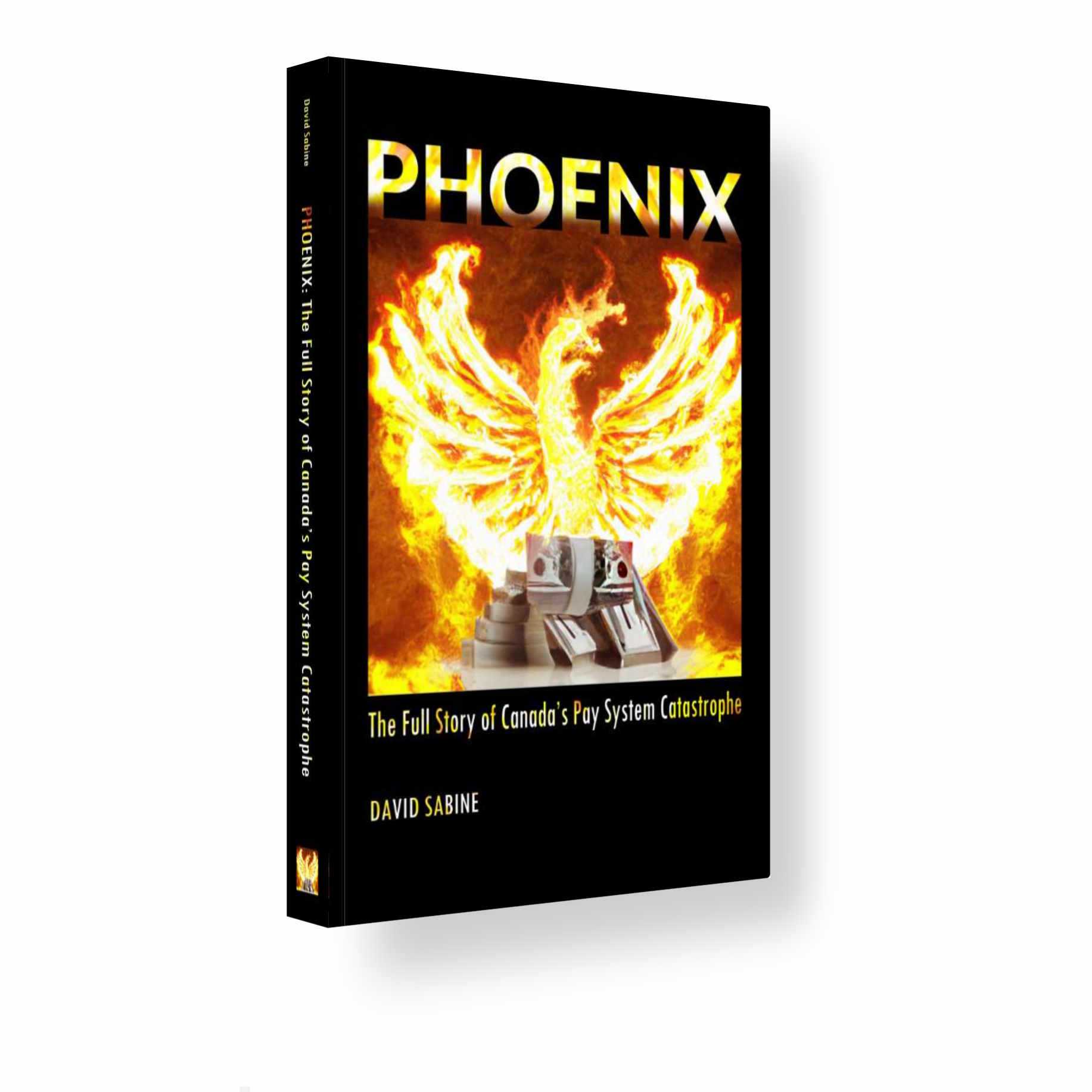 Buy The Book — David Sabine | Agile Practices Coach | Scrum Trainer ...